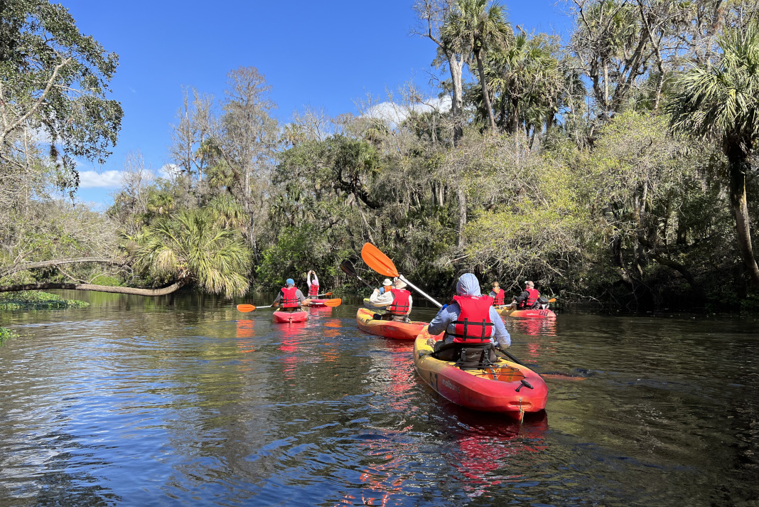 Kayaking in Tampa Bay | TampaBayWired.com